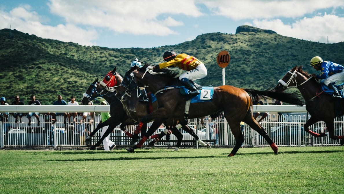 Horse Racing Calendar Highlights To Put In Your Diary For 2023 - Ideal ...