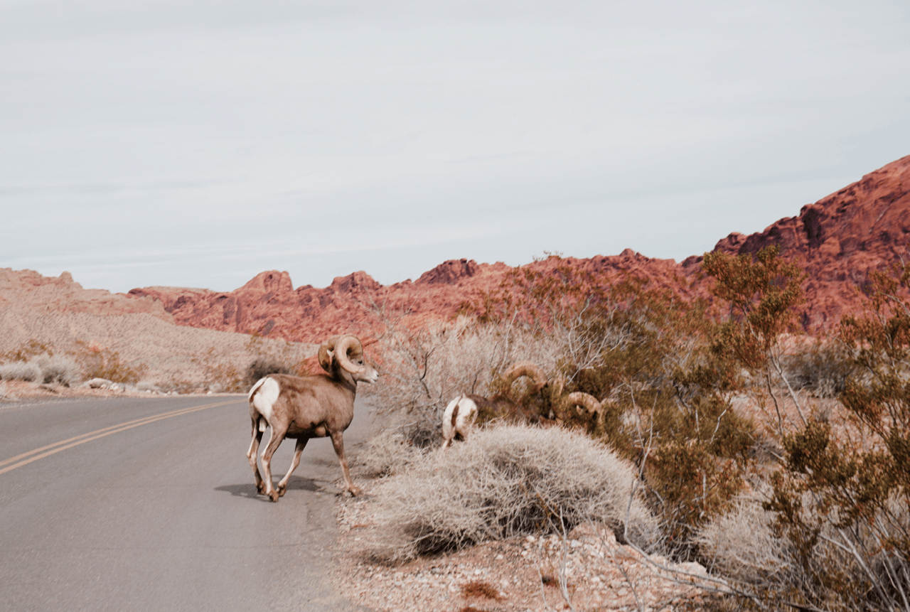 6 IDEAL TIPS FOR PLANNING YOUR OWN PHOTOGRAPHY TOUR - Ideal Magazine