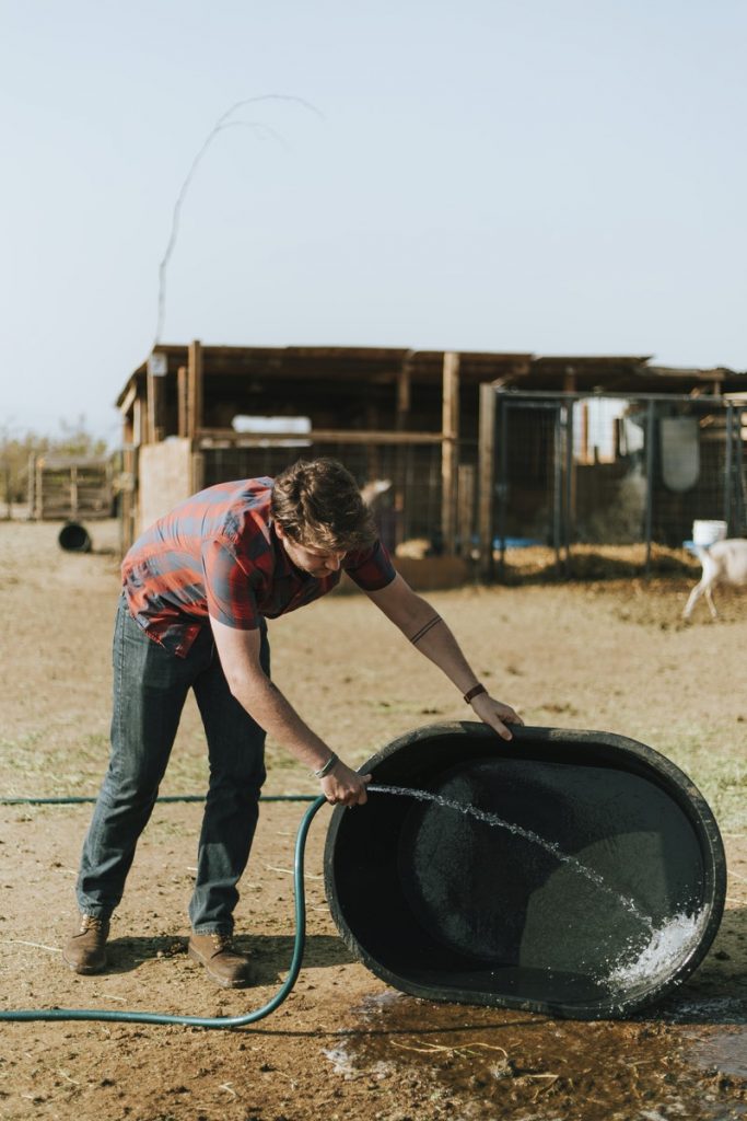 5 TIPS FOR STARTING A FARM - Ideal Magazine