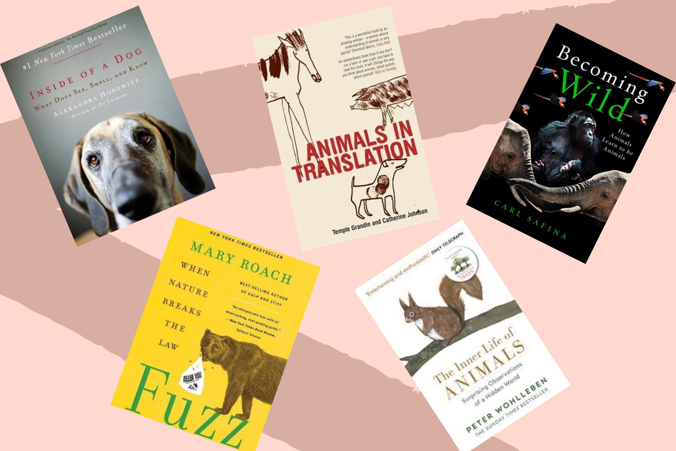 5 Great Animal-Themed Books To Give This Christmas - Ideal Magazine