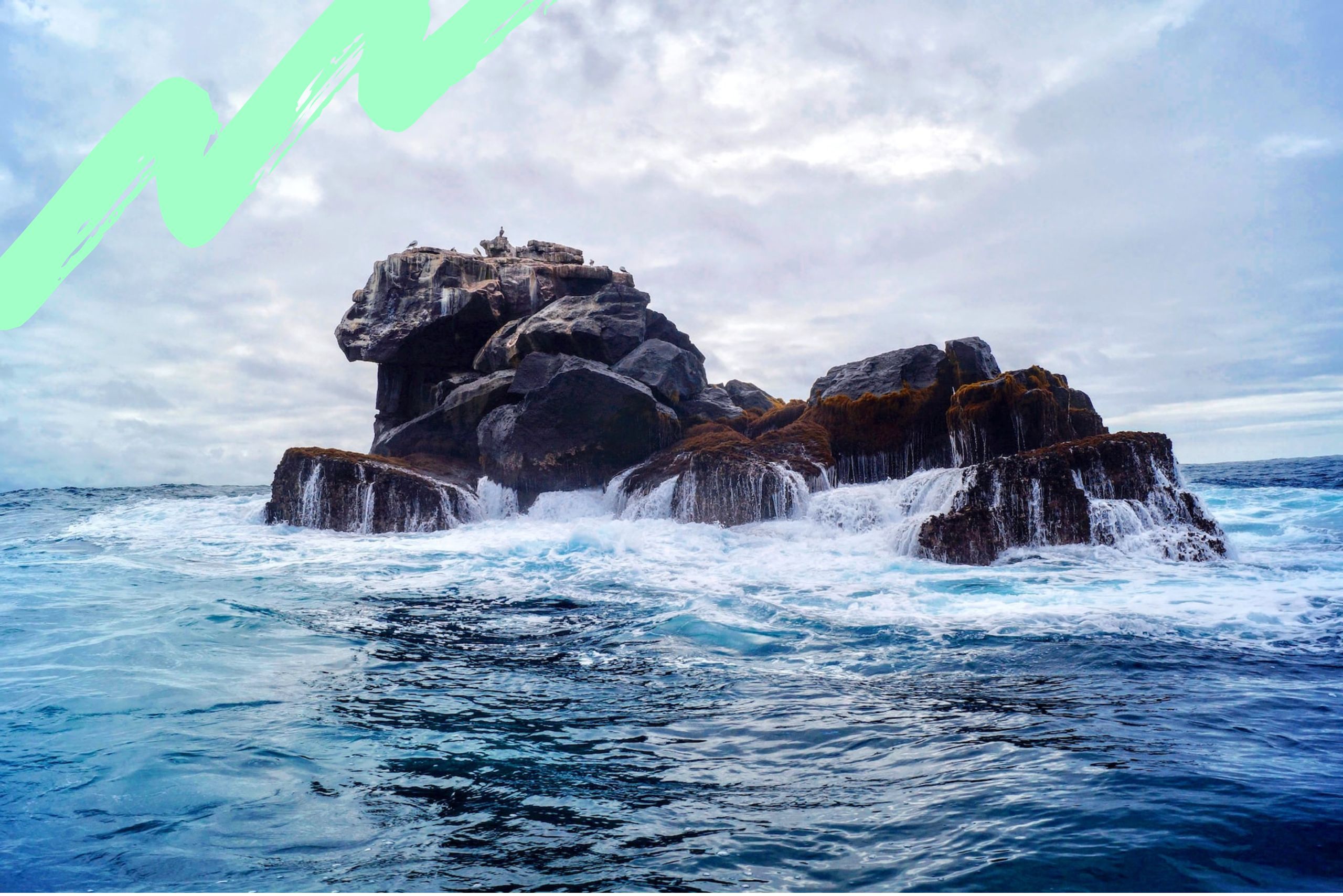 5 Amazing Places To Photograph Wildlife In The Galapagos Islands ...