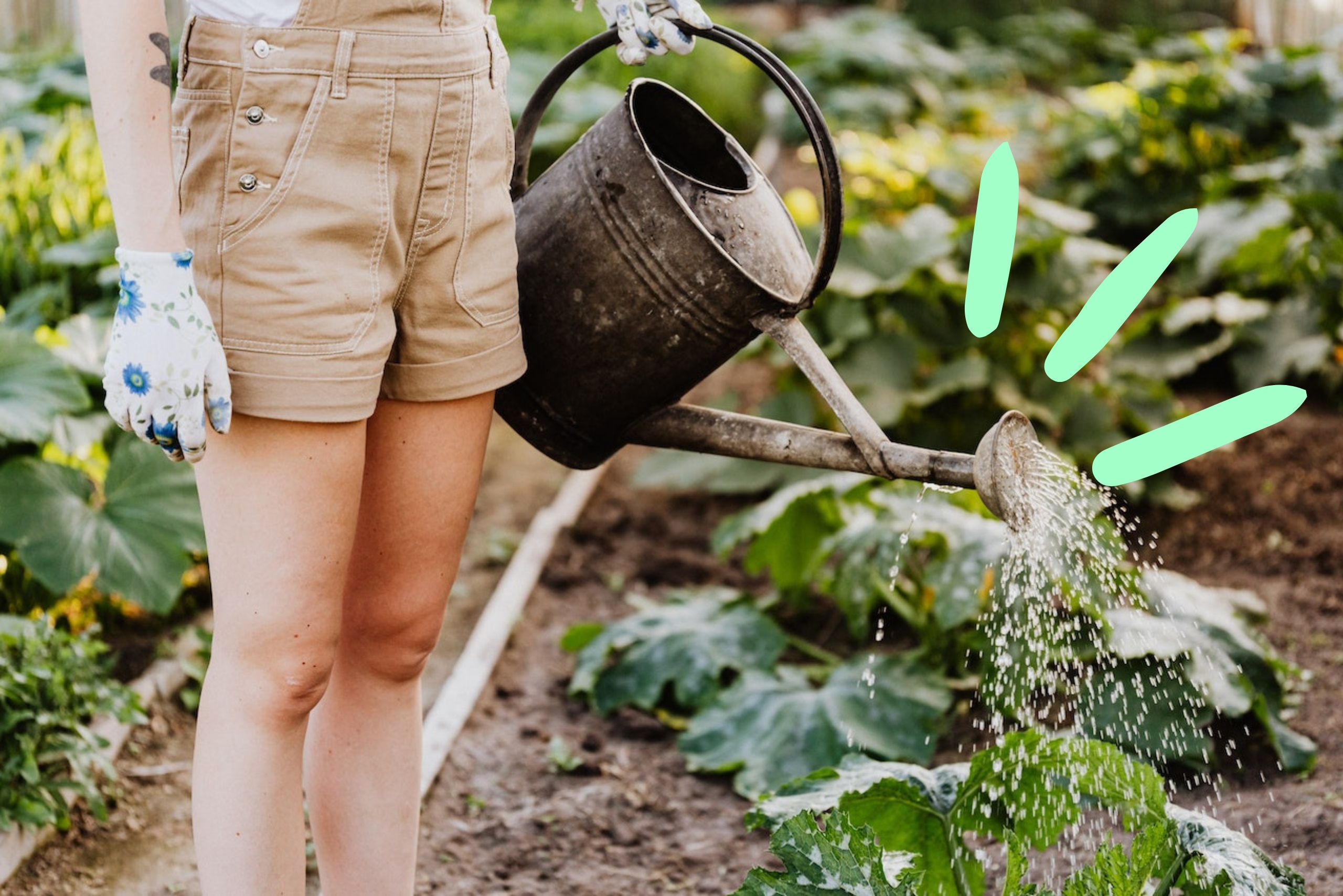 7 Water Saving Tips For Your Garden This Spring - Ideal Magazine