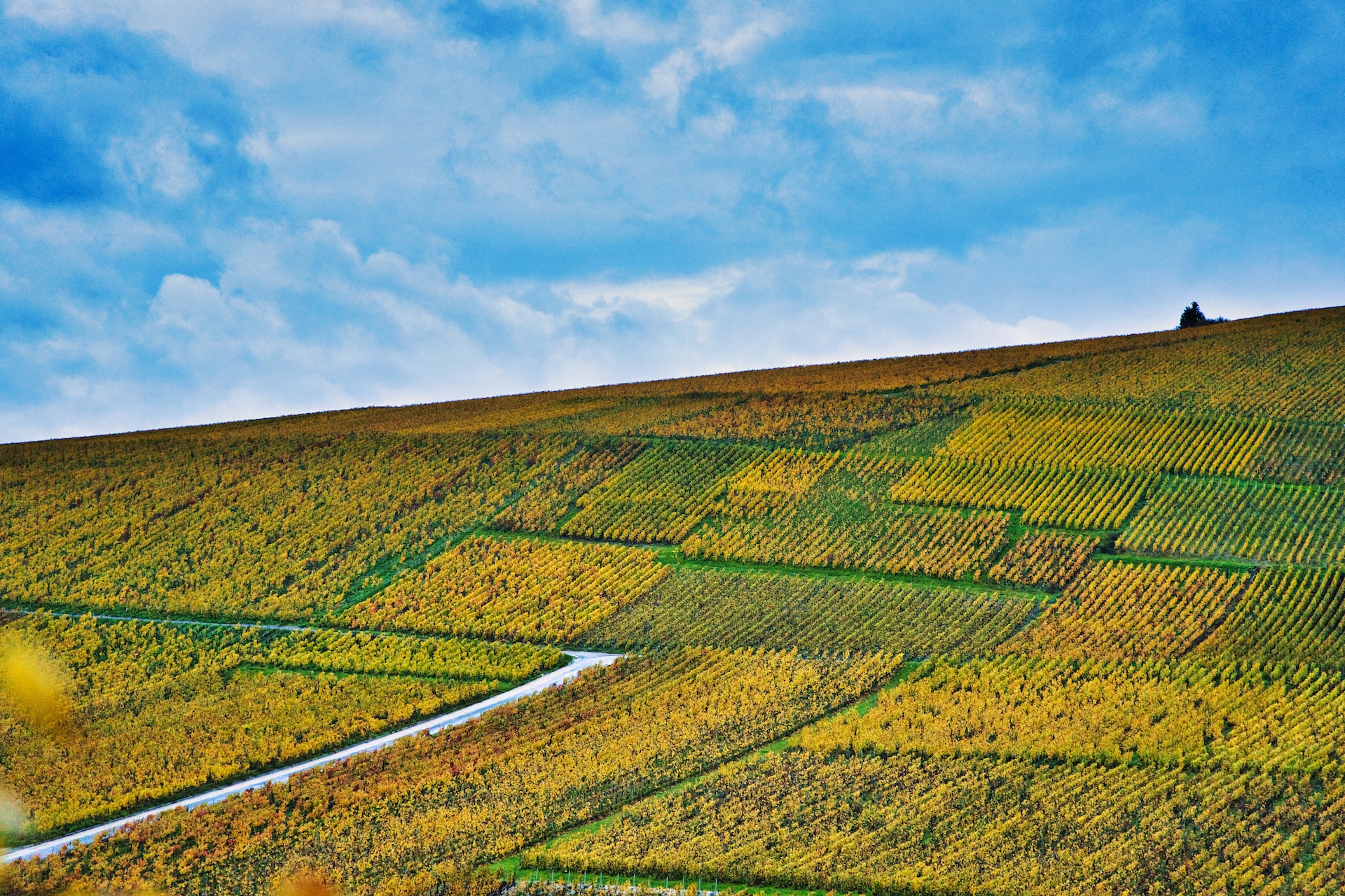 9 Things To Do On A Luxury Vacation To Champagne, France - Ideal Magazine