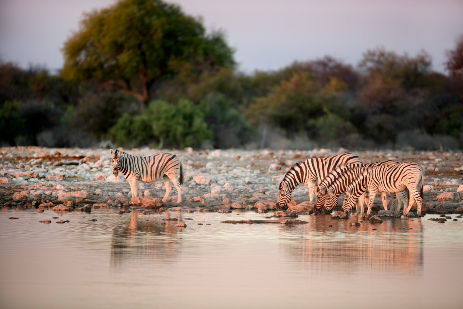 Properly Off The Beaten Path: Africa’s Most Unique Safari Experiences ...