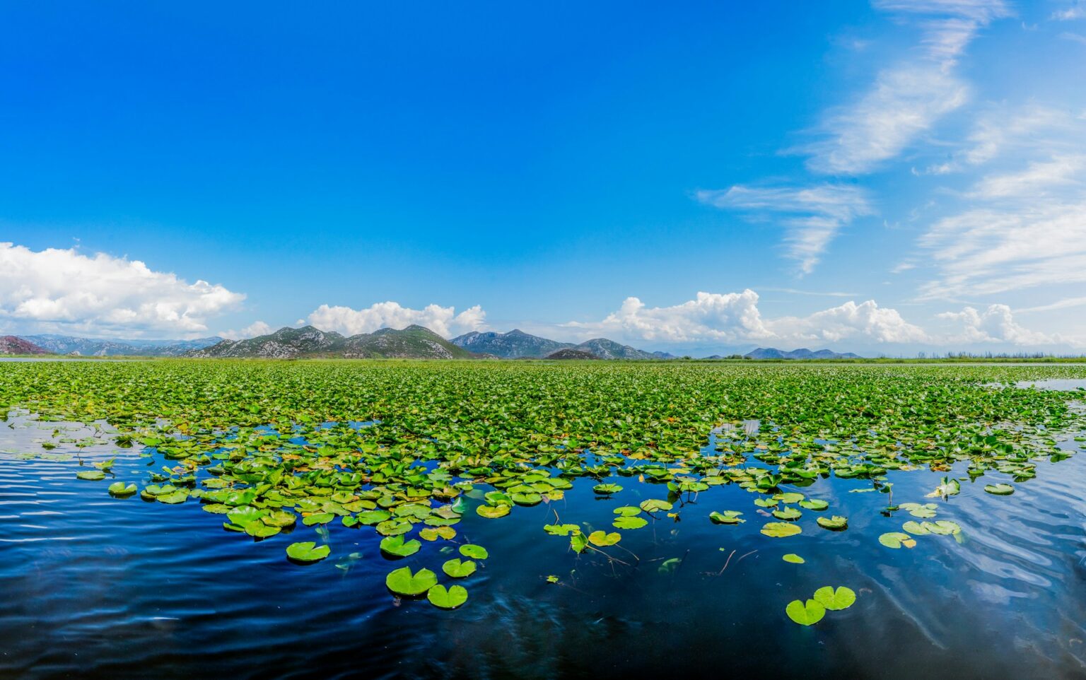 The Ultimate Guide To Visiting Lake Skadar: The Jewel Of The Balkans ...