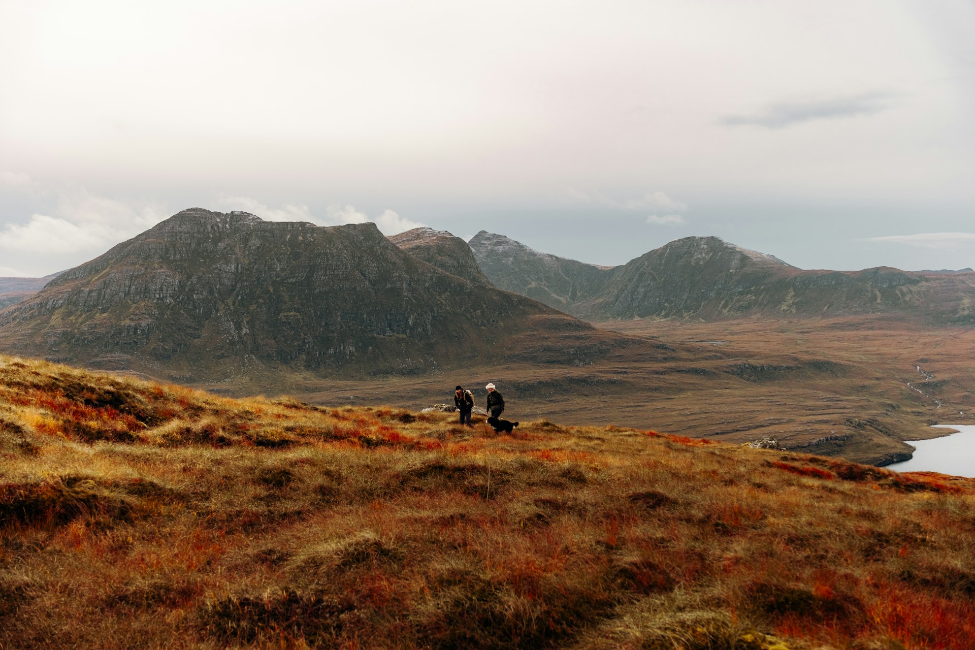 Paws On Paths: The UK's Best Dog-Friendly Hiking Adventures - Ideal ...