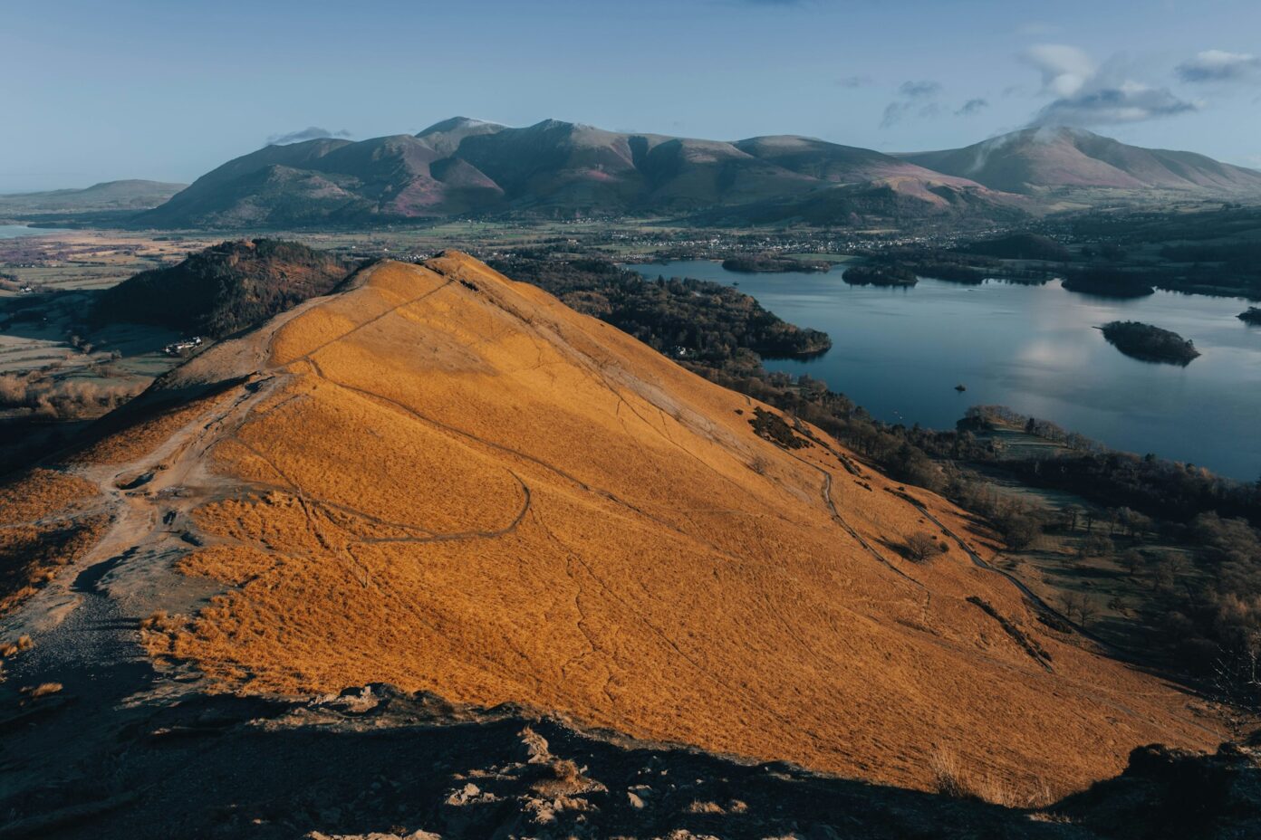 Paws On Paths: The UK's Best Dog-Friendly Hiking Adventures - Ideal ...