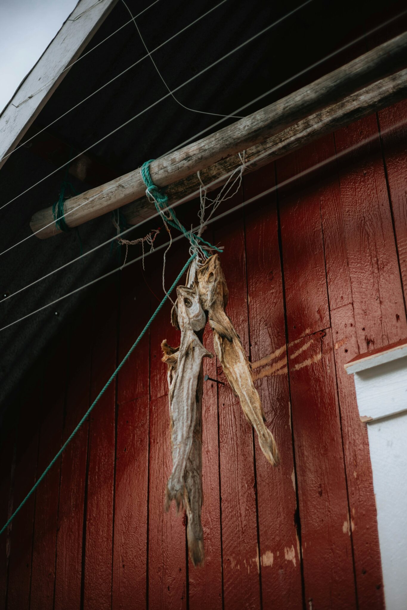 Faroe Islands First Timers: 15 Things To Know - Ideal Magazine